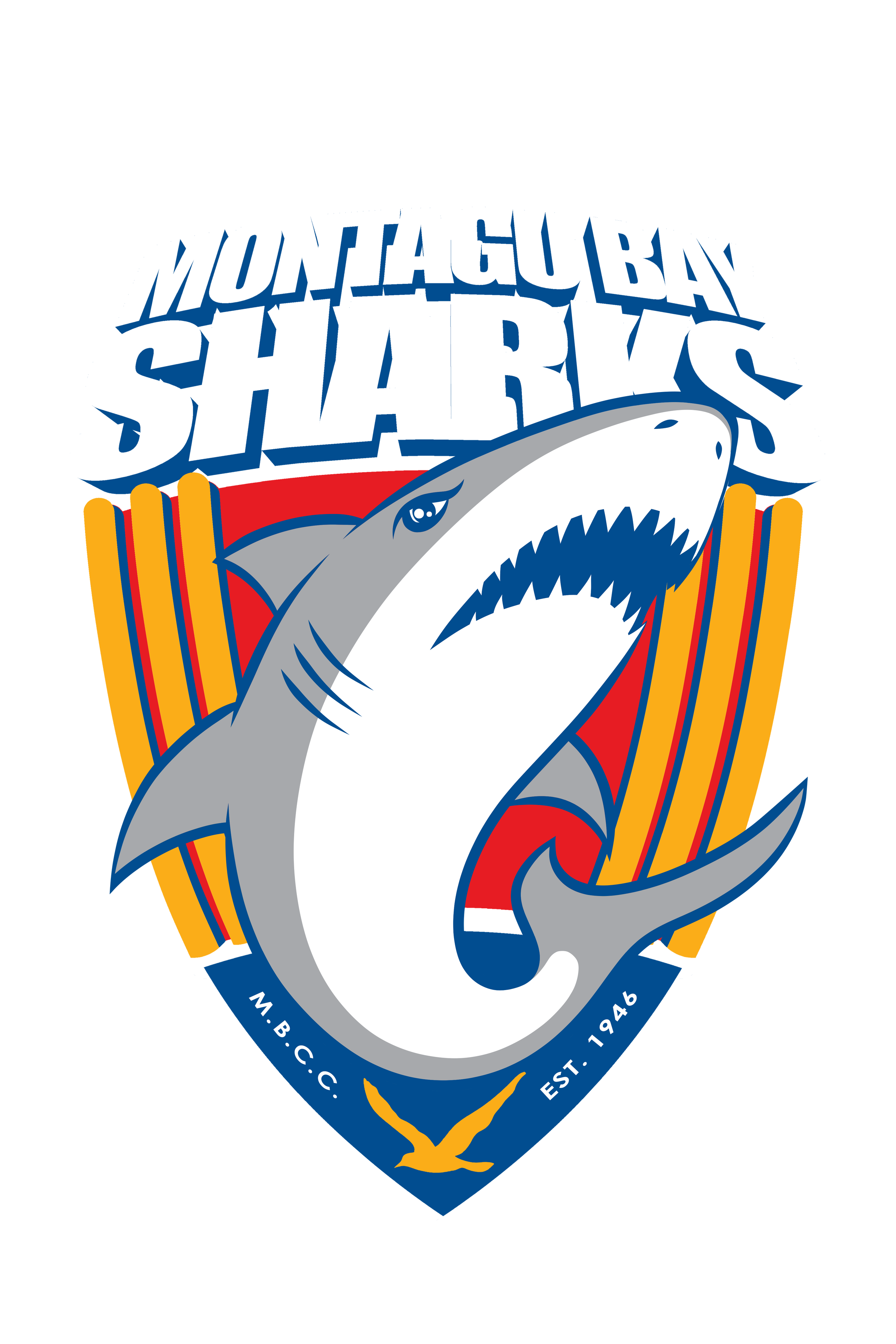 Home | Montagu Bay Sharks